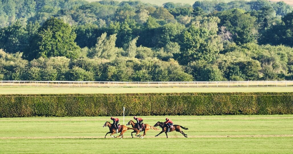 Using the Gallops - Jockey Club Estates