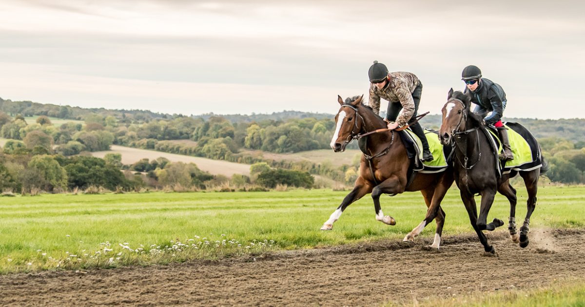 Epsom Trainers - Jockey Club Estates