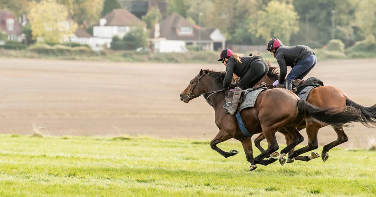Using the Gallops - Jockey Club Estates