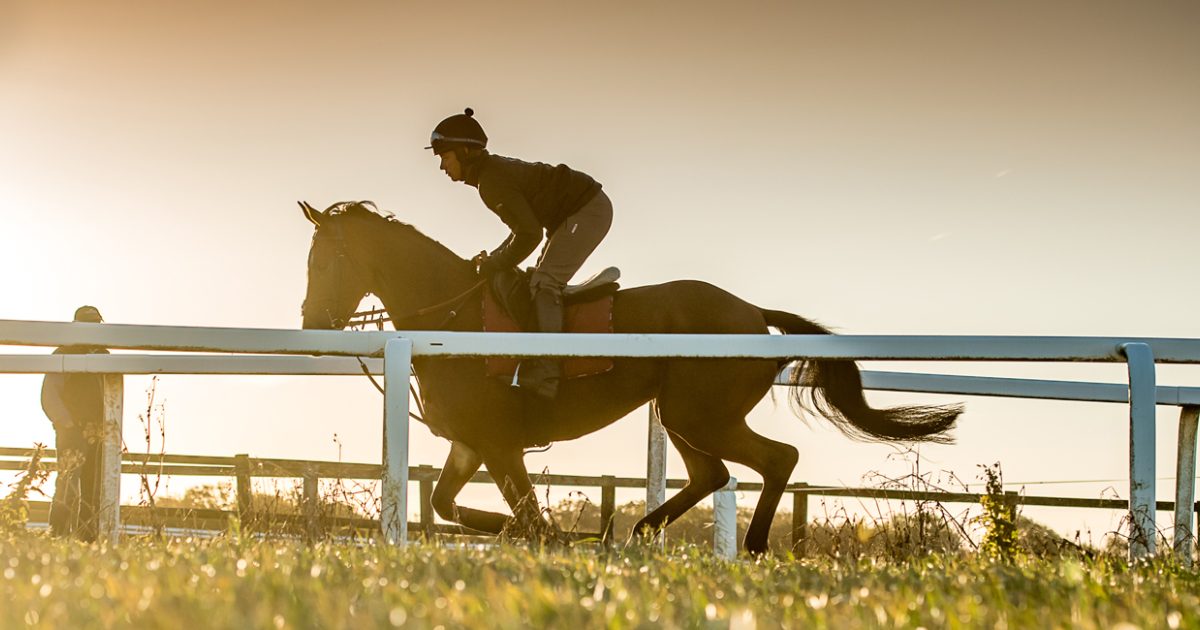 Health & Safety - Jockey Club Estates
