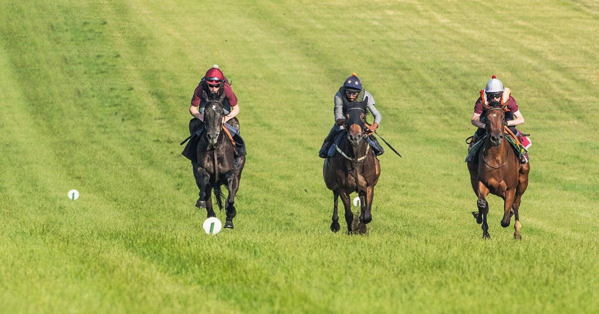 Using the Gallops - Jockey Club Estates